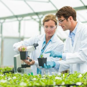 ¿Qué estudia la botánica? Todo lo que debes saber | Escuela Atelier